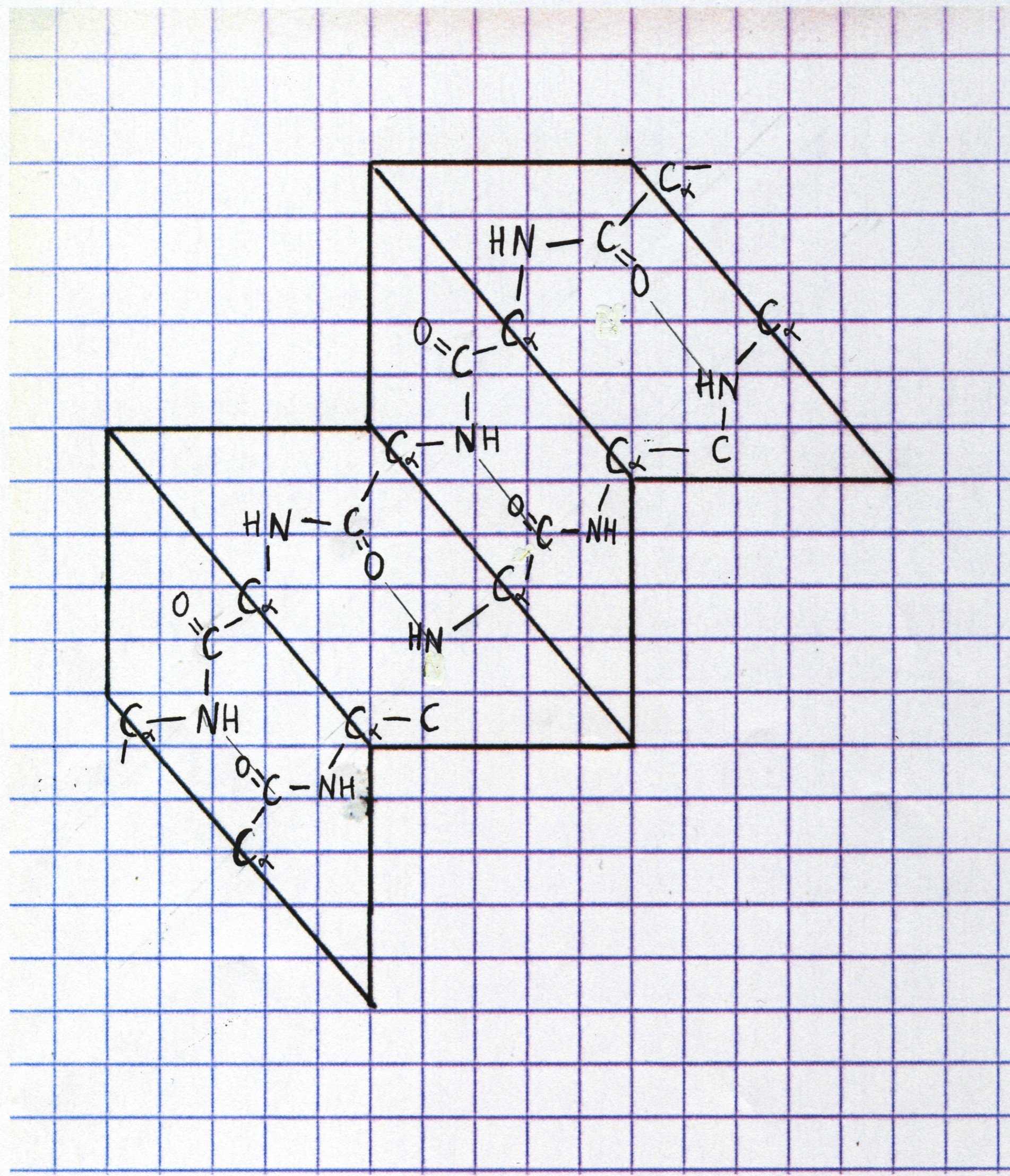 Schématiser un feuillet béta de protéine – SVT BCPST1 du lycée Janson ...
